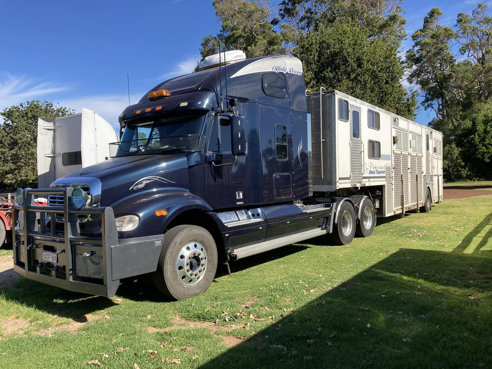 Transport – Professional Horse Transport